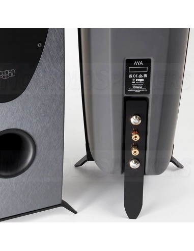 Rega AYA foorstanding speakers pair - Music gear, musical instruments ...