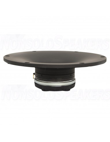 SB Acoustics Satori TW29BNWG-4 Beryllium Tweeter - Music gear, musical ...